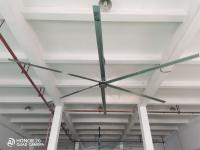 China Terrui Ceiling Fan Combination Of High Air Volume Permanent Magnet Motor And High Efficiency for sale