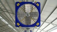 China One Piece Molding Process Terrui Livestock Fan Customized Design Energy Saving And Long Life for sale