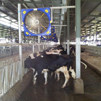 China High-Performance Livestock Ventilation Fans for Optimal Airflow in Farms for sale