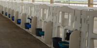 China High Quality Calf Pen Made of White LLDPE The Ideal Choice for Safe and Comfortable Calf Rearing for sale