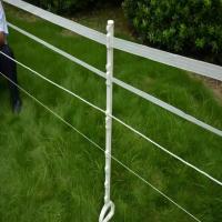 China Plastic Electric Fence Posts Featuring Waterproof Property And 20pcs Per Carton Packing And Uncoated Frame for sale