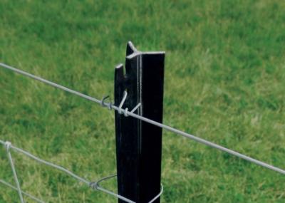 China Heavy Duty Y-Post for Ranch with Customizable Color Black Galvanized Surface and Y Shape without Teeth for sale