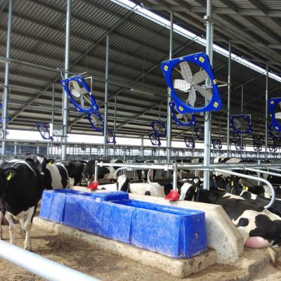China Affordable Cow Waterer for Heavy-Duty Watering Length 400cm/13.1ft. Width 67cm/2.2ft for sale