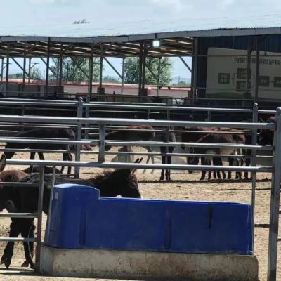 China Convenient and Sturdy Built-in Temperature Control Cow Drinking Trough with 140L Capacity for sale