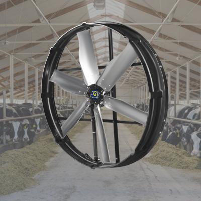 China IP55 Exhaust Fan Motor 120000m³/h Airflow 72 Blade Diameter 380-480V Power Supply for sale