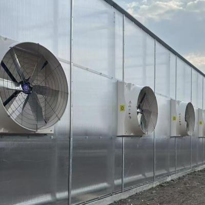 China Heavy Duty Industrial Ventilation Fan Max Airflow 55000m³/h Greenhouse Circulation Fans for sale