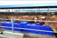 China 4m LLDPE Water Tank 300L With Cover And Ball Float System For Clean Dairy Drinking Water for sale