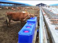 China 4m LLDPE Water Tank 300L With Cover And Ball Float System For Clean Dairy Drinking Water for sale