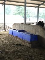 China 4m LLDPE Water Tank 300L With Cover And Ball Float System For Clean Dairy Drinking Water for sale