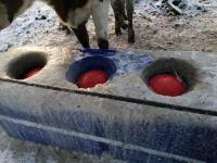 China 4m LLDPE Water Tank 300L With Cover And Ball Float System For Clean Dairy Drinking Water for sale