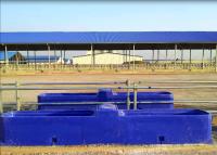 China Freeze Proof plastic L13ft 300L Livestock Water Tank for sale