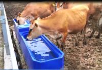 China Freeze Proof plastic L13ft 300L Livestock Water Tank for sale
