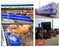 China Freeze Proof plastic L13ft 300L Livestock Water Tank for sale