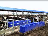 China Freeze Proof plastic L13ft 300L Livestock Water Tank for sale