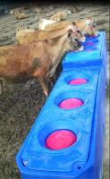 China 4m 6 Holes heavy duty PE Livestock Water Tank for sale