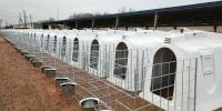 China NTG002 Calf Hutch 220cm LLDPE Rotomoulded Pen With Galvanized Fence And Bucket Holders for sale