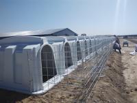 China NTG002 Calf Hutch 220cm LLDPE Rotomoulded Pen With Galvanized Fence And Bucket Holders for sale