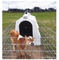 China NTG102 Dairy Calf Hutch 220cm Food Grade Polyethylene With Rear Vent Windows For Rearing for sale