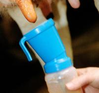 China VTN002 00 BL Non Return 300ml Teat Dip Cup For Cows for sale