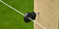 China Ring Shaped Screw In Insulator INS500 Galvanized Steel 30g For Wood Post Electric Fence Wire 5mm for sale