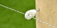 China Ring Shaped Screw In Insulator INS500 Galvanized Steel 30g For Wood Post Electric Fence Wire 5mm for sale