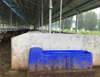 China 2.25m Thermo Water Trough 115L High Flow 150L Per Minute For Cattle Pastures for sale