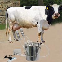 China Single Bucket Milking Machine 220V Vacuum Unit For Dairy Cows And Small Milking Parlours for sale