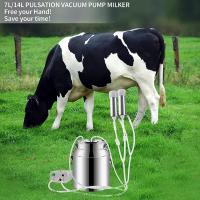 China Goat And Cow Milking Machine 7L 14L Stainless Steel Bucket With Pulsation Vacuum Pump for sale