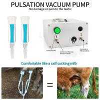 China Goat And Cow Milking Machine 7L 14L Stainless Steel Bucket With Pulsation Vacuum Pump for sale