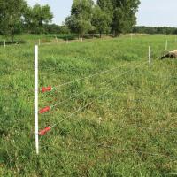 China Animal Barrier Garden Protection Pigtail Fence Posts 1040mm Length for sale