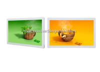 China White Frame Android Advertising Screen 27 Inch Digital Signage High Resolution for sale
