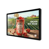 China Wall Mounted 43