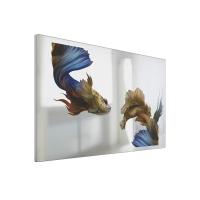 China Wall Mounted 43 Inch Android Lcd Advertising Player With Aluminum Shell for sale