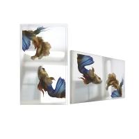 China Wall Mounted 43 Inch Android Lcd Advertising Player With Aluminum Shell for sale