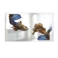 China Wall Mounted 43 Inch Android Lcd Advertising Player With Aluminum Shell for sale