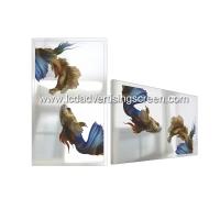 China 43In Smart Mirror 500cd/M2 Wall Mounted Advertising Display Alu Edge for sale