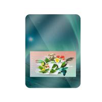 China Wall Mount WiFi 21.5