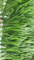China Stadium Football Field Woven Turf With Natural Grass And Durability for sale