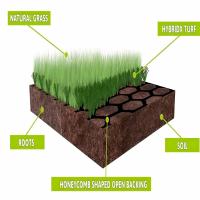 China LDK Hybrid Turf Perfect Combination of Natural and Synthetic Grass for Turf Needs for sale
