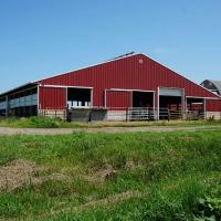 China Good Response Concrete Structure Dairy Cow Shed Building Farm Wind Resistance for sale