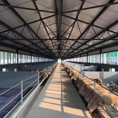 China Custom Prefabricated Metal Poultry House Steel Structure Chicken Horse Farm Building Q345 for sale