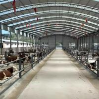 China Custom Prefabricated Metal Poultry House Steel Structure Chicken Horse Farm Building Q345 for sale