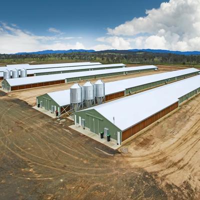 China Prefabricated Light Steel Structure Livestock Barn for Poultry Cow Pig Sheep Goat Horse Farm 50m for sale
