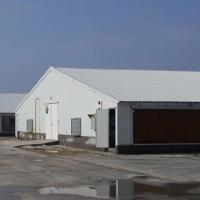 China Prefabricated Steel Structure Livestock Building Poultry Farm House Animal Husbandry Shed Custom Design for sale