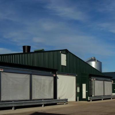 China Prefabricated Steel Structure Livestock Building Poultry Farm House Animal Husbandry Shed Custom Design for sale