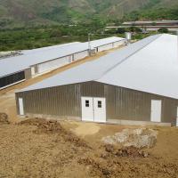China Automatic Poultry House Light Steel Structure Poultry Shed Modern Chicken Farm For Broilers for sale