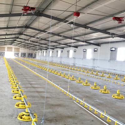 China Automatic Poultry House Light Steel Structure Poultry Shed Modern Chicken Farm For Broilers for sale