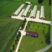 China Automatic Poultry House Light Steel Structure Poultry Shed Modern Chicken Farm For Broilers for sale