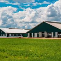 China Prefabricated Steel Structure Livestock Building Poultry Farm Barn Animal Husbandry Shed Custom Design Q345 for sale