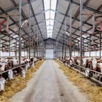 China Prefabricated Steel Structure Livestock Building Poultry Farm Barn Animal Husbandry Shed Custom Design Q345 for sale